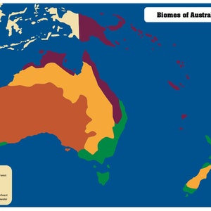 Oceania Biomes Puzzle Map: Montessori Geography Material - Etsy