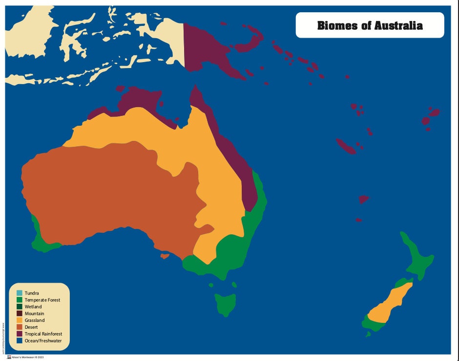 Oceania Biomes Puzzle Map: Montessori Geography Material - Etsy