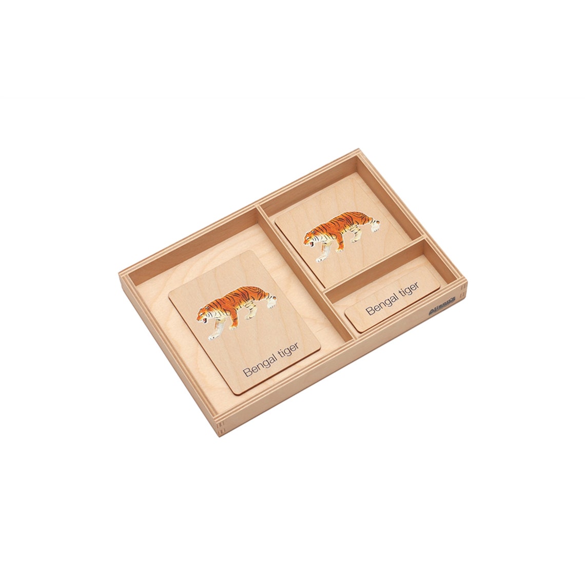 Animals of Asia Wooden Nomenclature Cards Montessori - Etsy