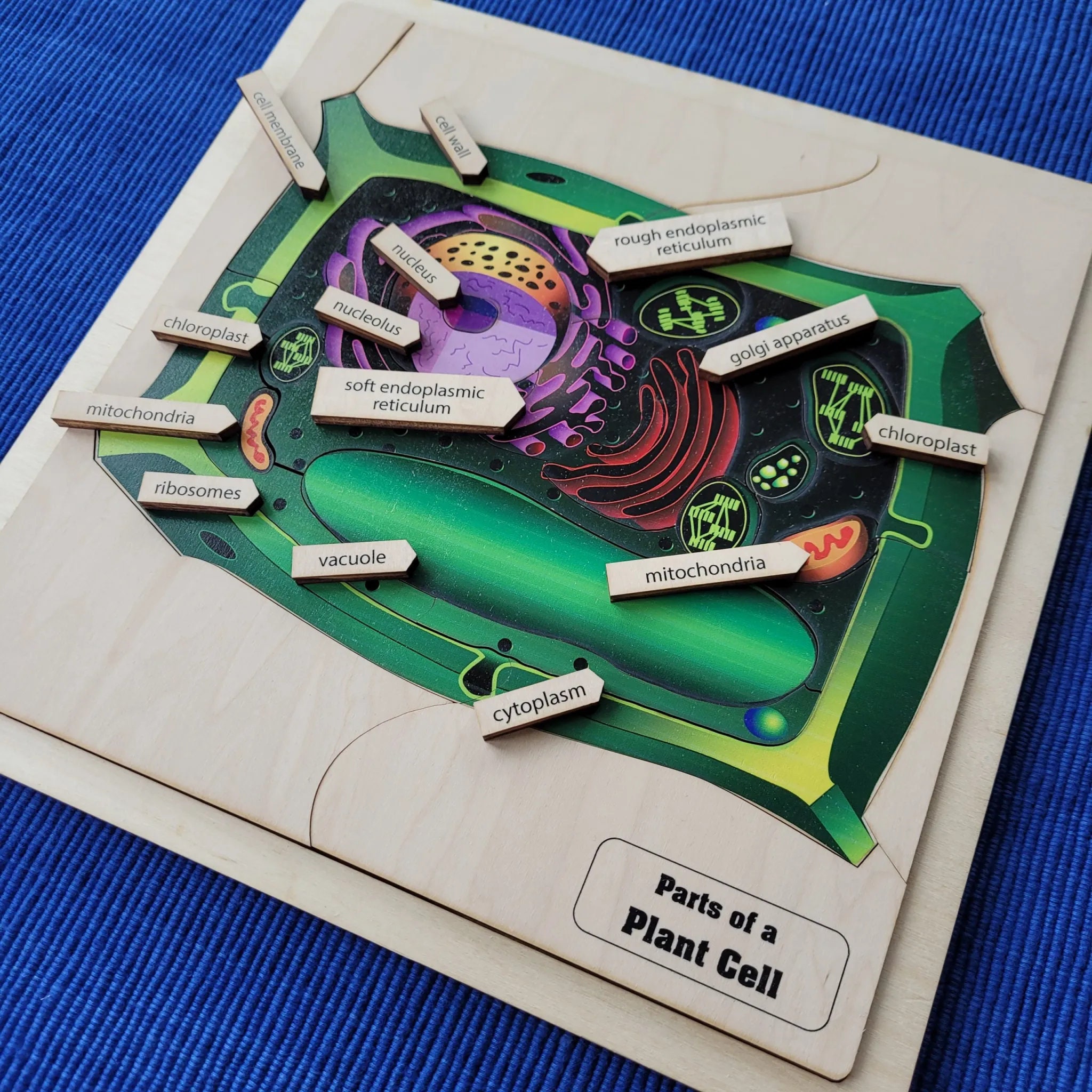 Parts of a Plant Cell Puzzle With Nomenclature Cards 6-9 Montessori ...