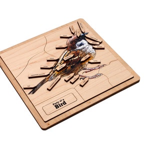 Parts of a Bird Puzzle (elementary) | Montessori Materials | Montessori ...