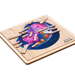 Montessori Parts of an Animal Cell Puzzle - Anatomy of Animal Cell ...
