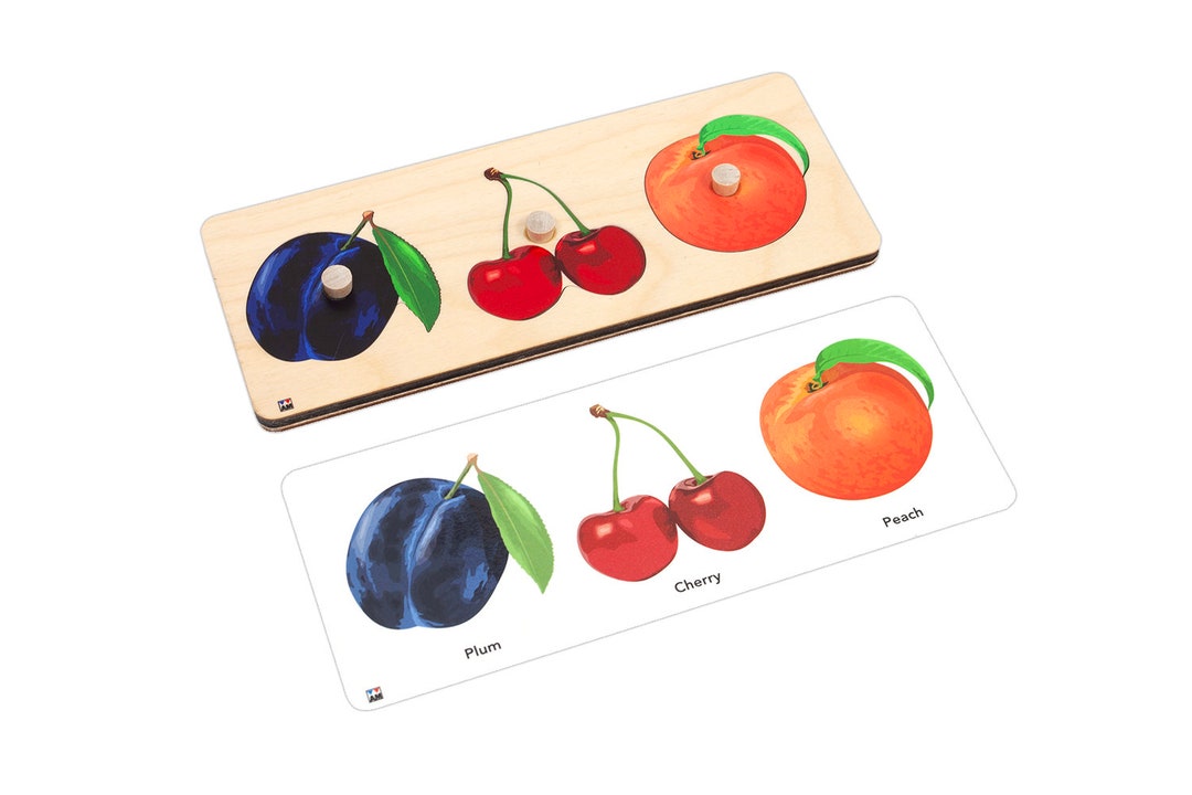 Drupes Puzzle | Montessori Materials | Infant and Toddler | Early ...