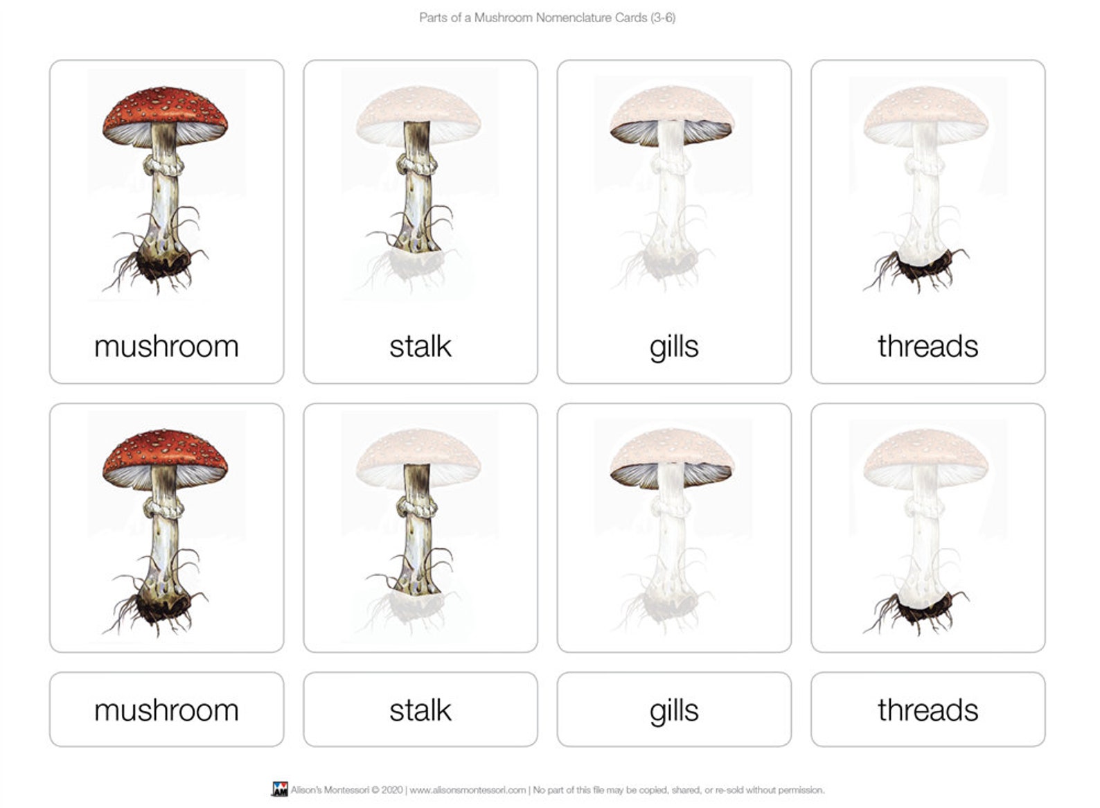 Parts of a Mushroom Puzzle With Nomenclature Cards (3-6) | Montessori ...