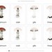 Parts of a Mushroom Puzzle With Nomenclature Cards (3-6) | Montessori ...
