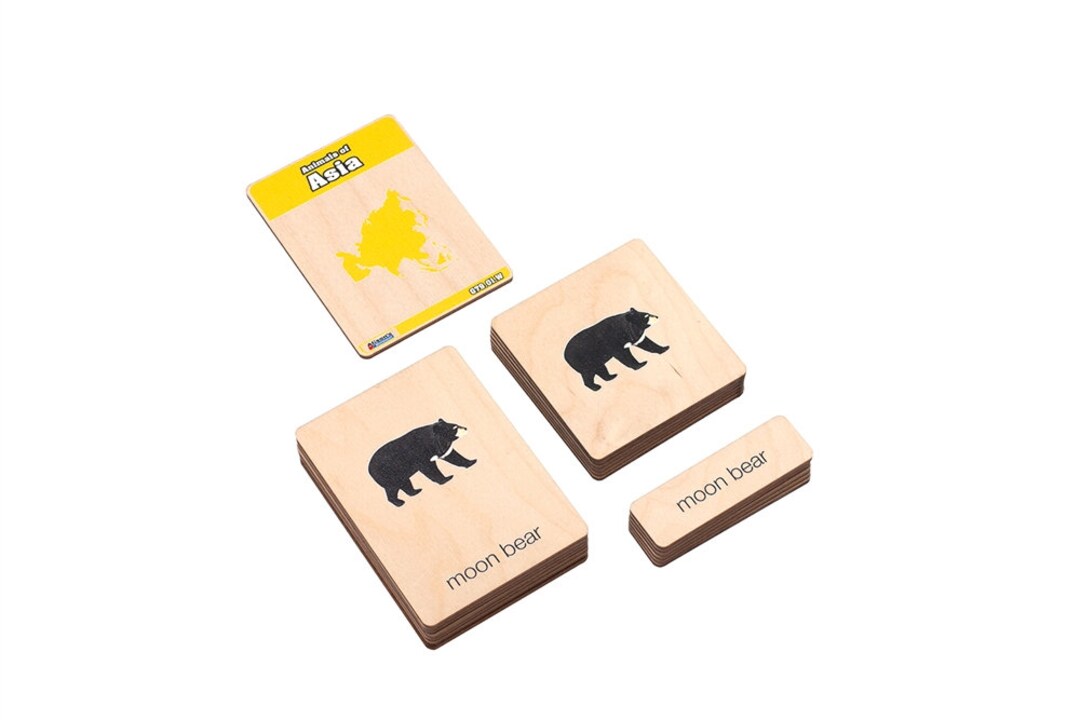 Animals of Asia Wooden Nomenclature Cards | Montessori Curriculum ...