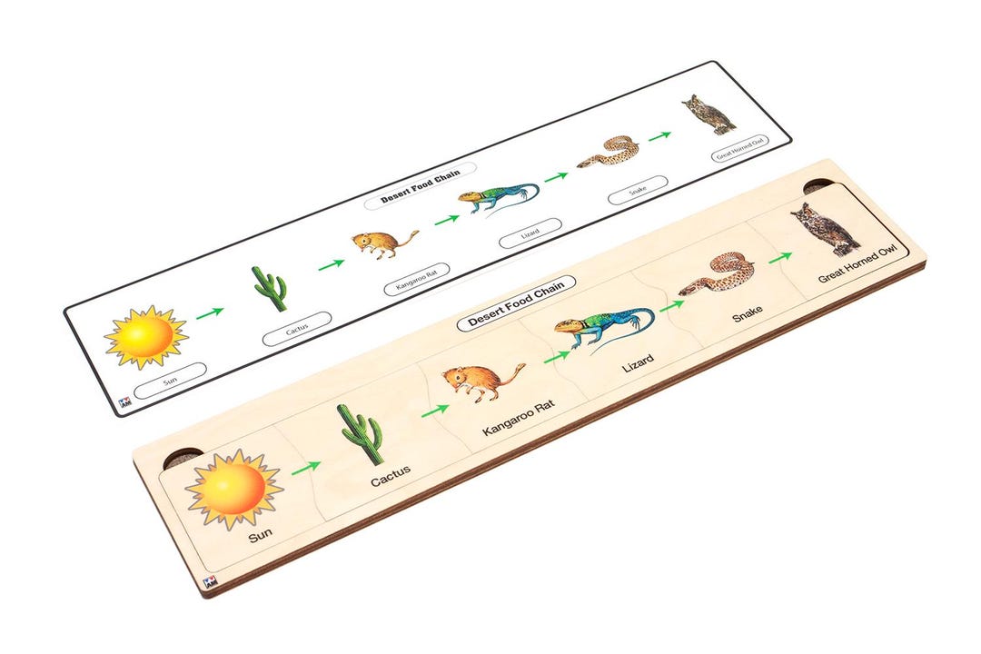 Desert Food Chain Puzzle | Montessori Puzzles | Food Chain Puzzle ...