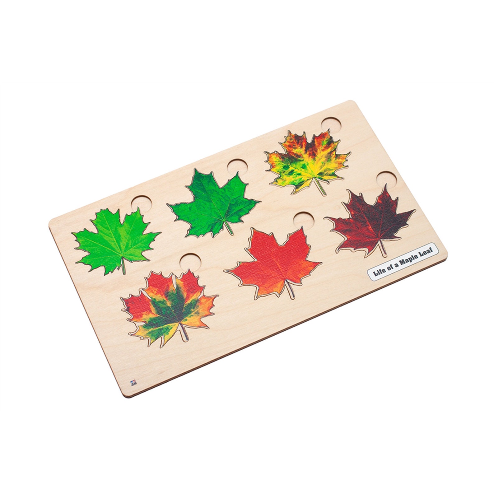 Life of a Maple Leaf Puzzle Montessori Leaf Puzzle Wooden Leaf Puzzles ...
