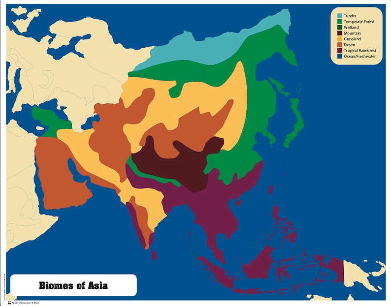 Biomes Puzzle Map of Asia Montessori Material Montessori Geography ...
