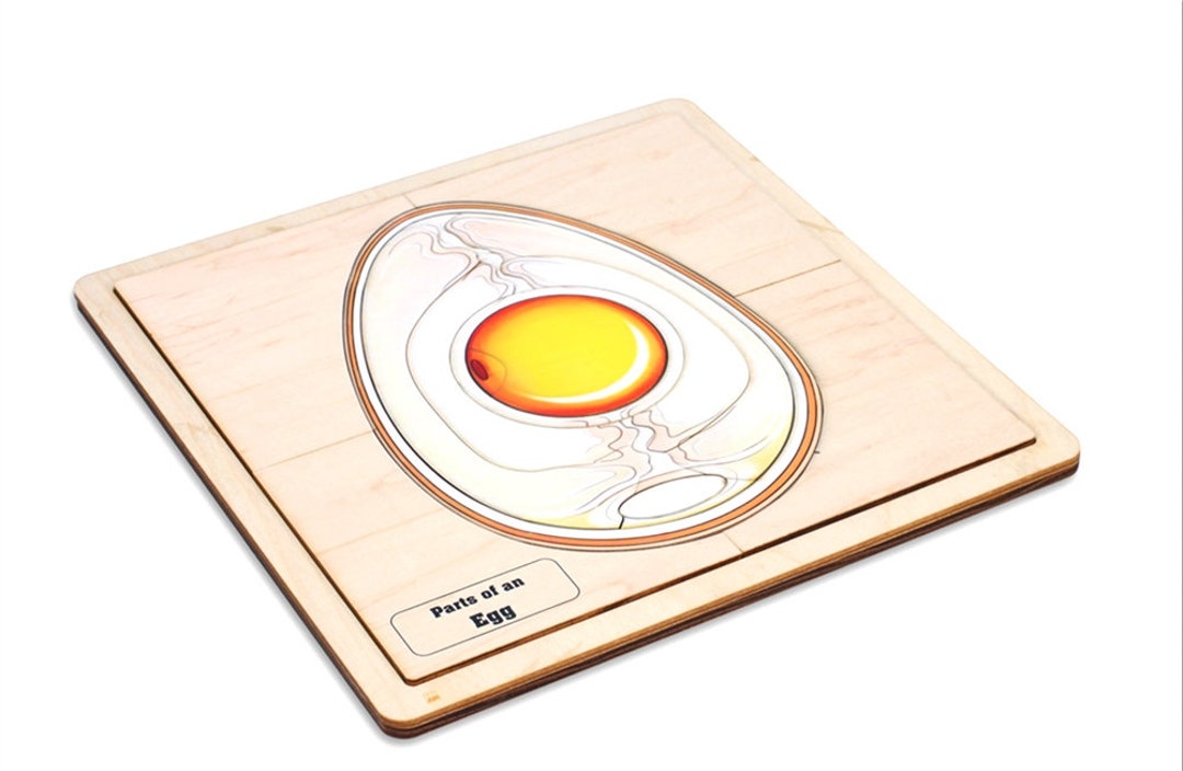 Parts of an Egg Nomenclature Puzzle and Nomenclature Cards (6-9 ...
