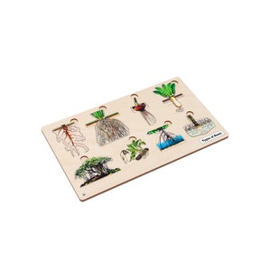 Types of Roots Puzzle | Montessori Materials | Montessori Botany ...