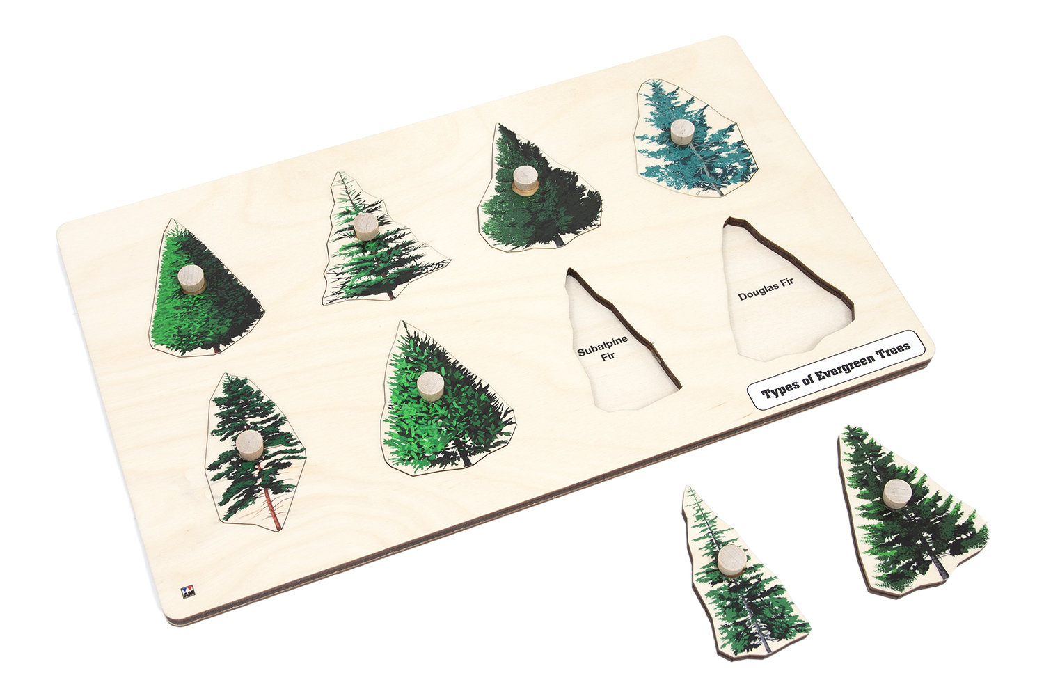 Types of Evergreen Trees Puzzle Montessori Materials Montessori Botany ...