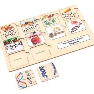 Classification of Organic Compounds - Complete Set | Montessori Puzzle ...