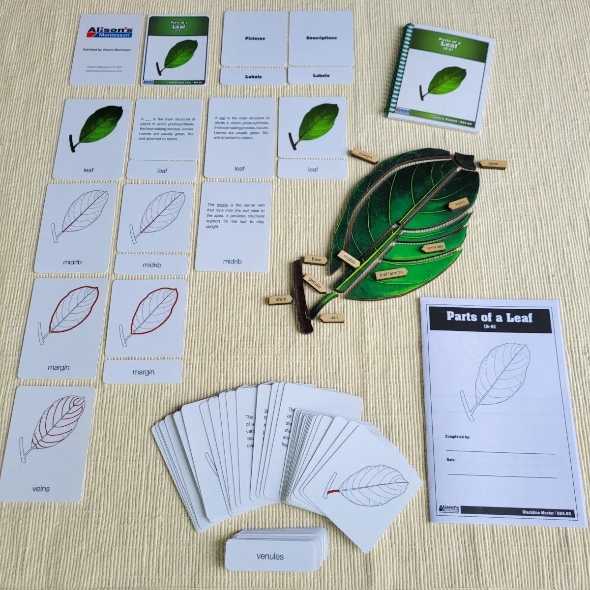 Parts of a Leaf Puzzle With Nomenclature Cards printed 6-9 Montessori ...