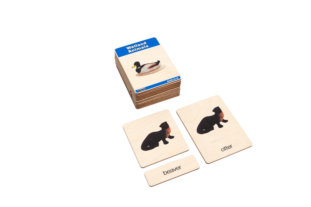 Wetlands Animals Montessori Nomenclature Cards: Three-part Learning - Etsy