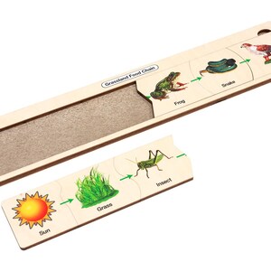 Grassland Food Chain Puzzle | Montessori Puzzles | Food Chain Puzzle ...