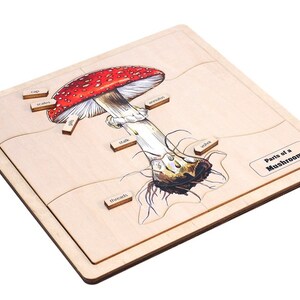 Parts of a Mushroom Puzzle With Nomenclature Cards (3-6) | Montessori ...