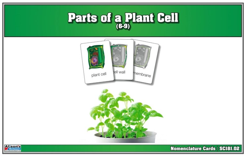 Parts of a Plant Cell Puzzle With Nomenclature Cards 6-9 Montessori ...
