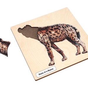 Parts of a Hyena Puzzle | Montessori Materials | Montessori Zoology ...