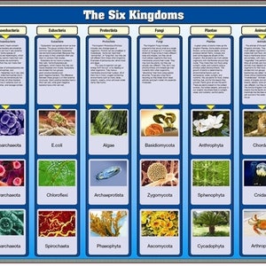 The Six Kingdoms Chart Complete Set | the Six Kingdoms Printable ...