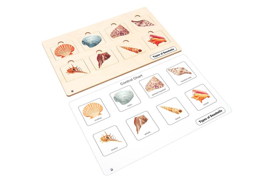 Seashells Wooden Puzzle: Hand-drawn Ocean Learning Toy - Etsy