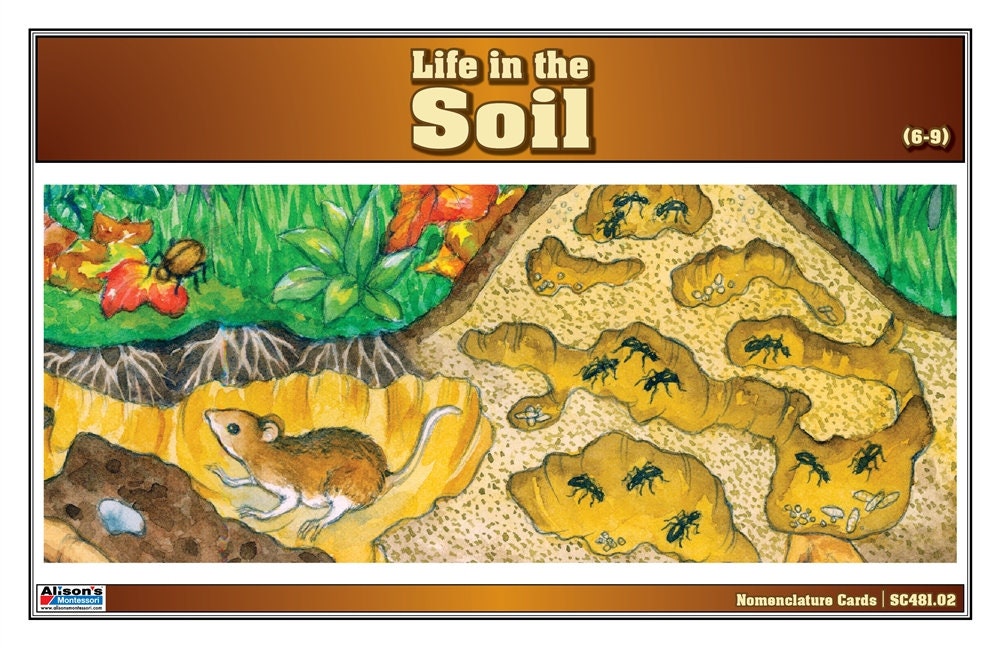 Life in the Soil Puzzle With Nomenclature Cards (6-9) (printed ...