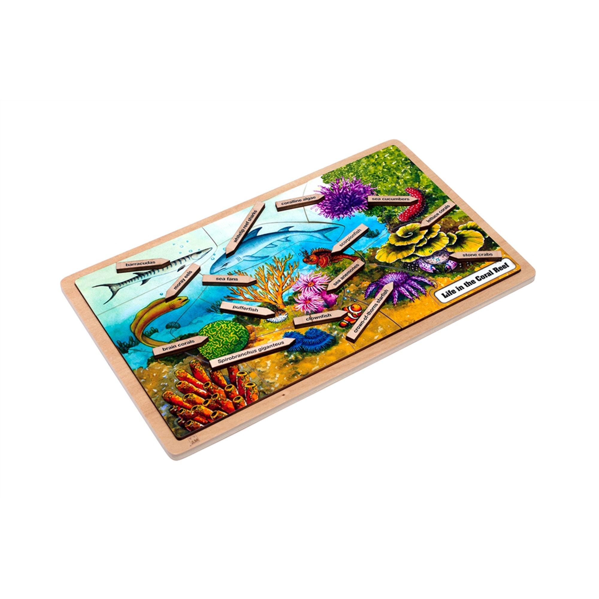 Life in the Coral Reef Puzzle - Montessori Materials - Montessori ...