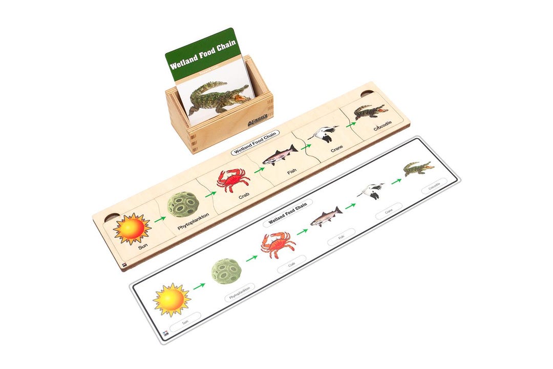 Wetland Food Chain Complete Set | Montessori Puzzles | Food Chain ...