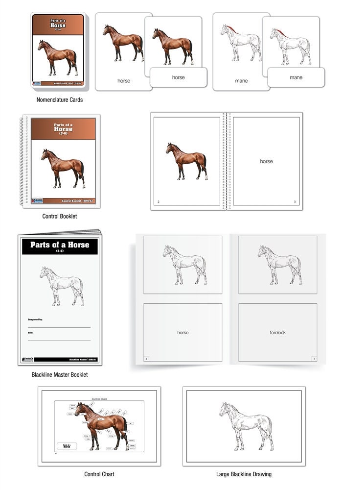 Parts of a Horse Puzzle With Nomenclature Cards 3-6 Montessori ...