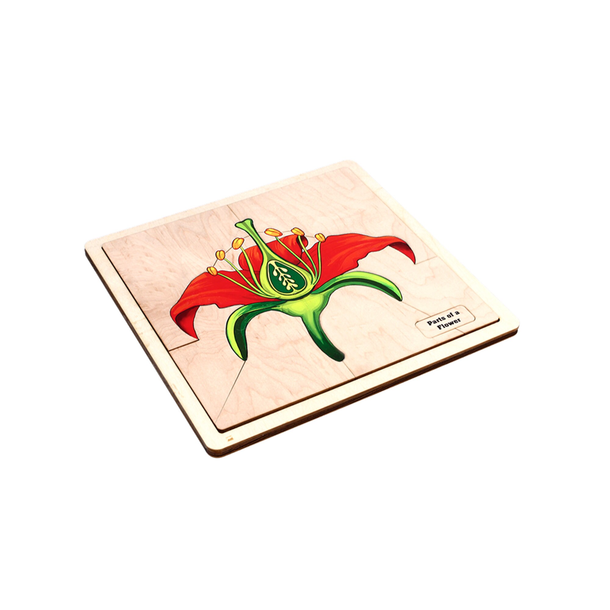 Parts of a Flower Puzzle Montessori Wooden Puzzles Montessori Botany ...