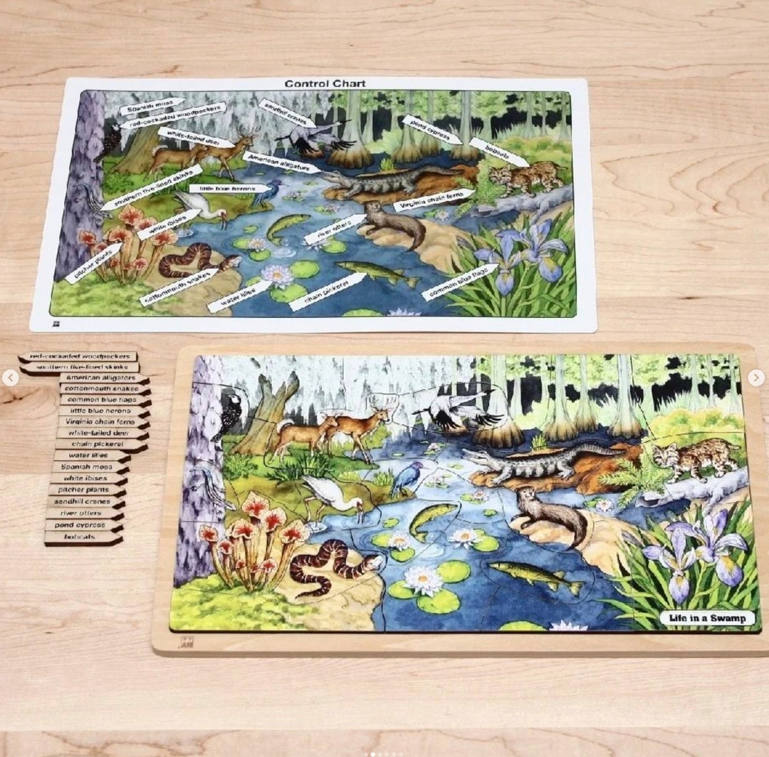 Life in a Swamp Puzzle | Montessori Puzzles | Learning Puzzles | Toy ...