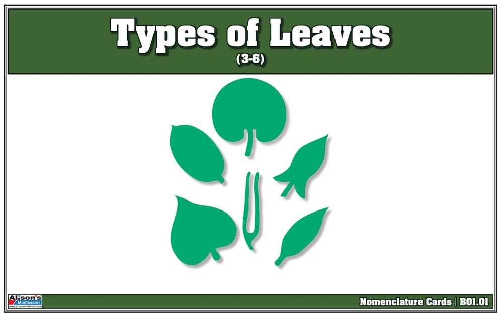 Types of Leaves Puzzle With Nomenclature Cards 3-6 printed Montessori ...