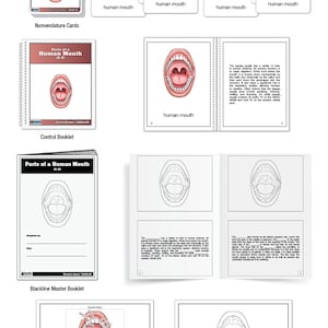 Parts of a Human Mouth Puzzle With Nomenclature Cards (6-9) (printed ...