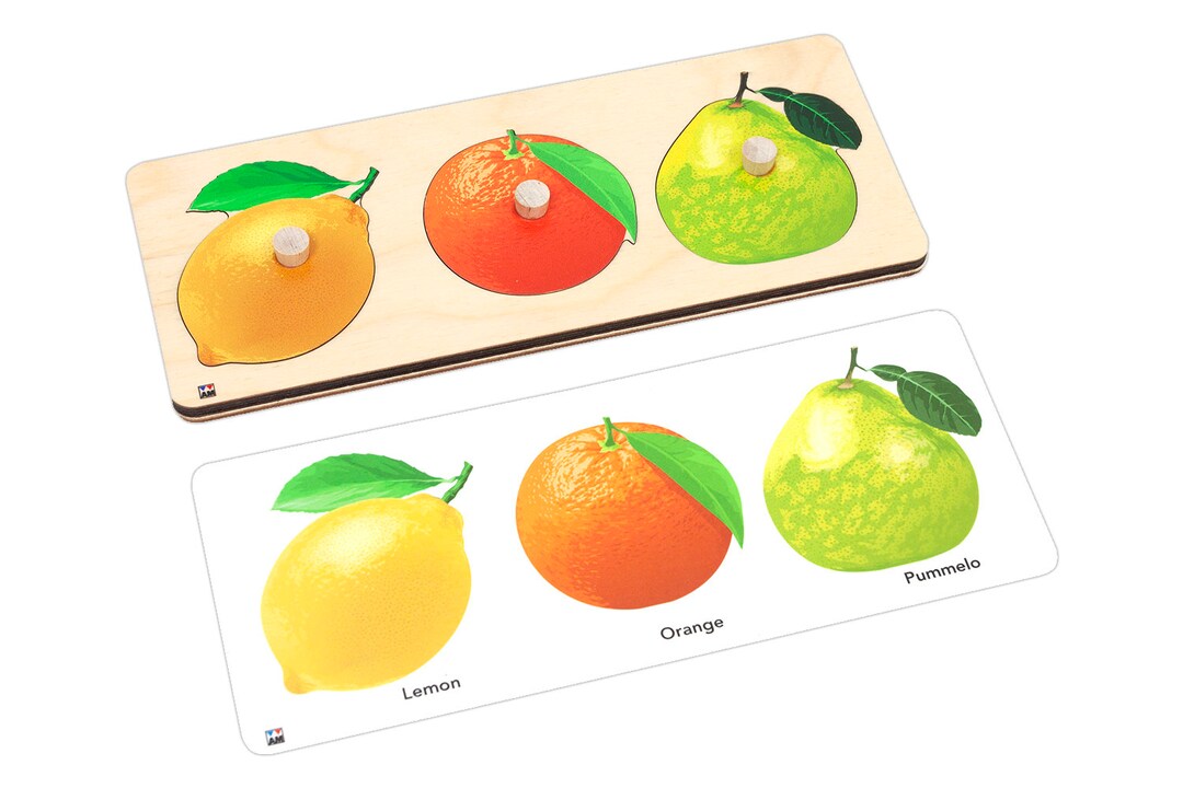 Citrus Fruits Puzzle | Montessori Materials | Infant and Toddler ...