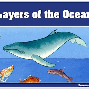 Layers of the Ocean Educational Chart | Printable Montessori Marine ...