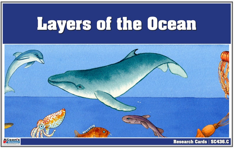 Layers of the Ocean Educational Chart | Printable Montessori Marine ...