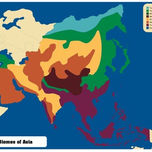 Asia Biomes Puzzle Map: Montessori Geography Material - Etsy