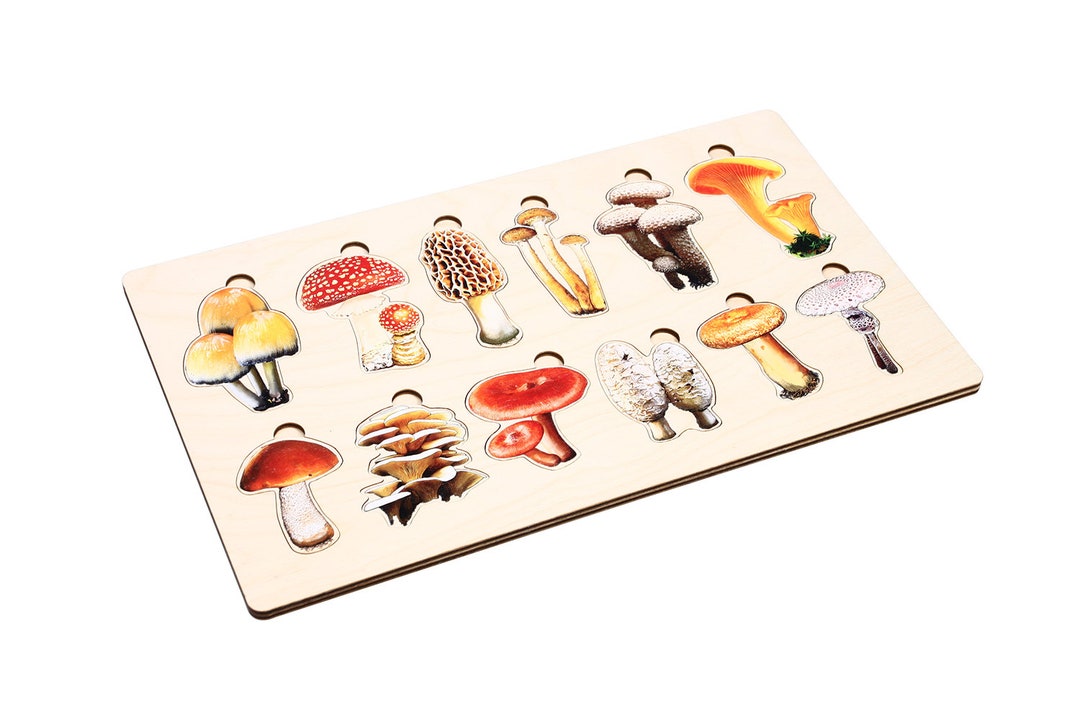 Types of Mushrooms Puzzle | Montessori Puzzles | Botany Puzzles ...