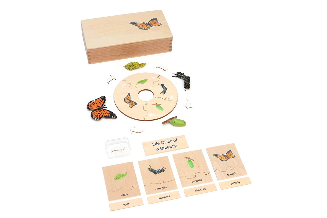 Life Cycle Set of a Butterfly - Montessori Life Cycle - Butterfly Life ...