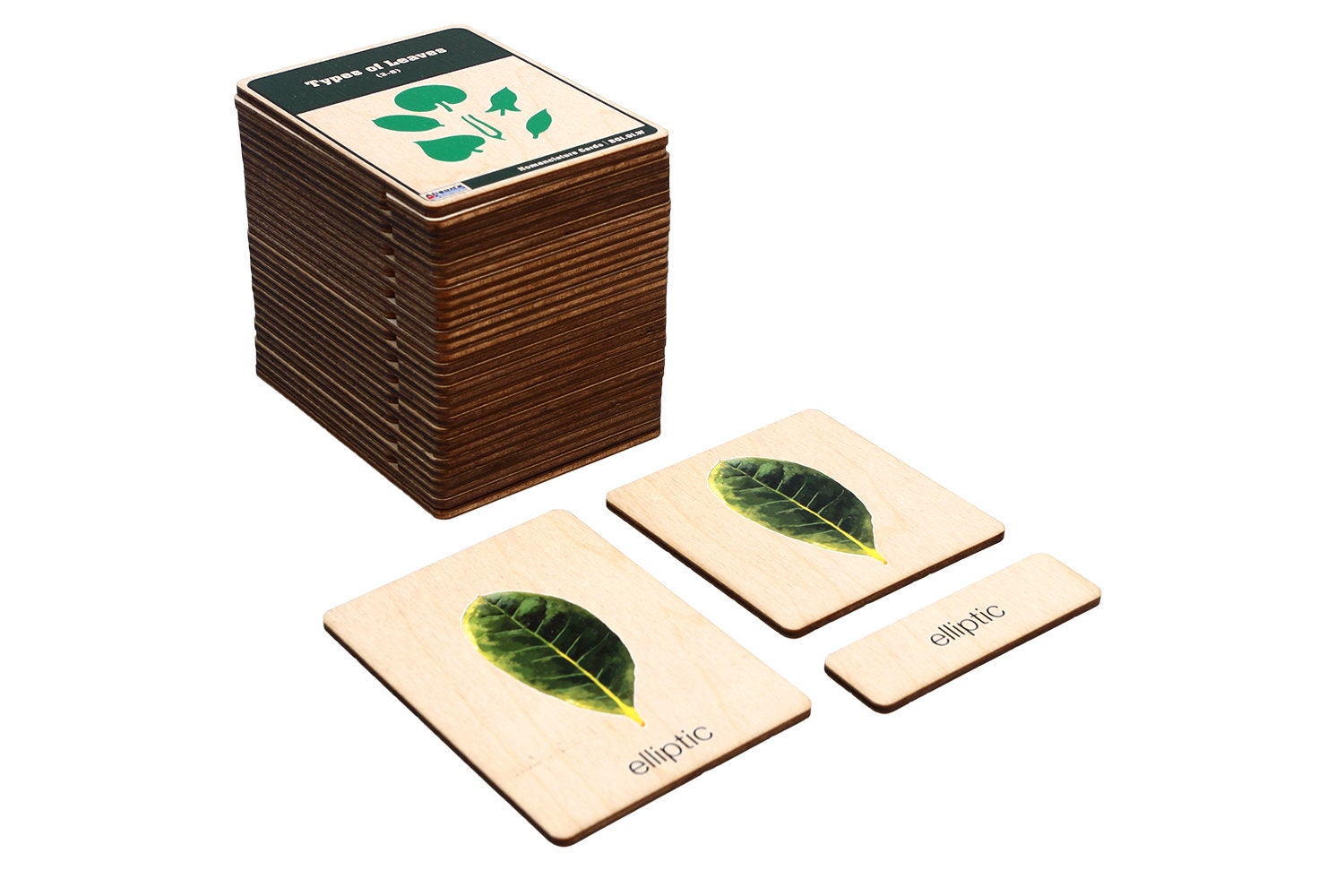 Montessori Types of Leaves - Nomenclature Cards - Homeschooling ...