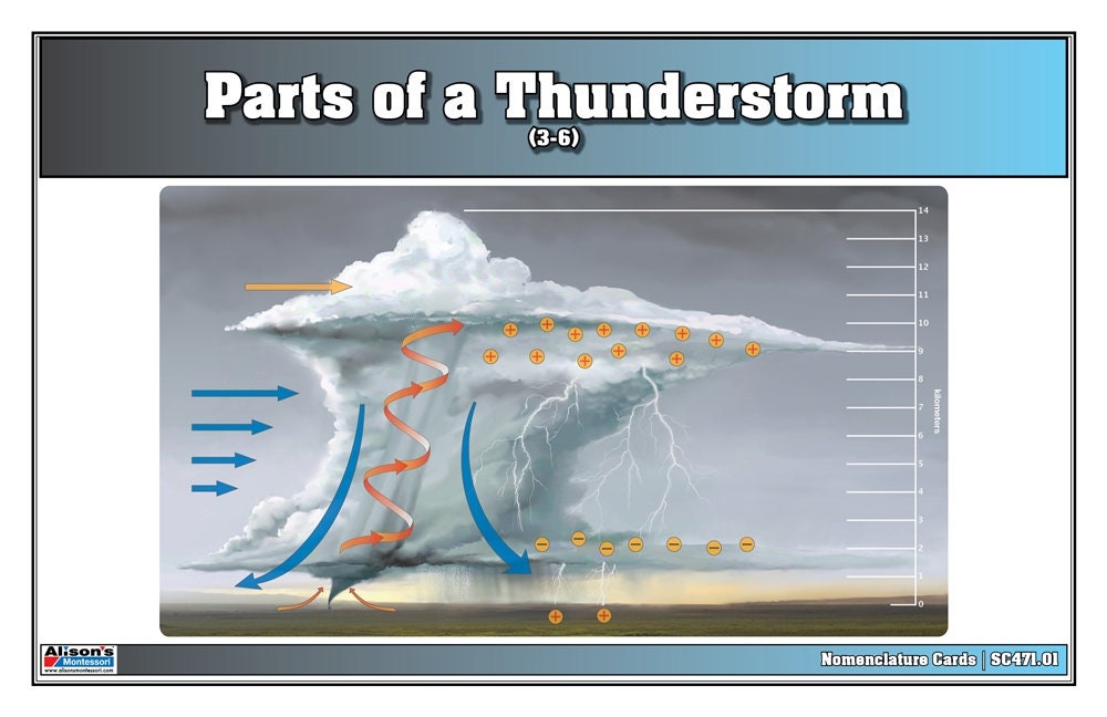 Parts of a Thunderstorm Puzzle With Nomenclature Cards 3-6 Montessori ...