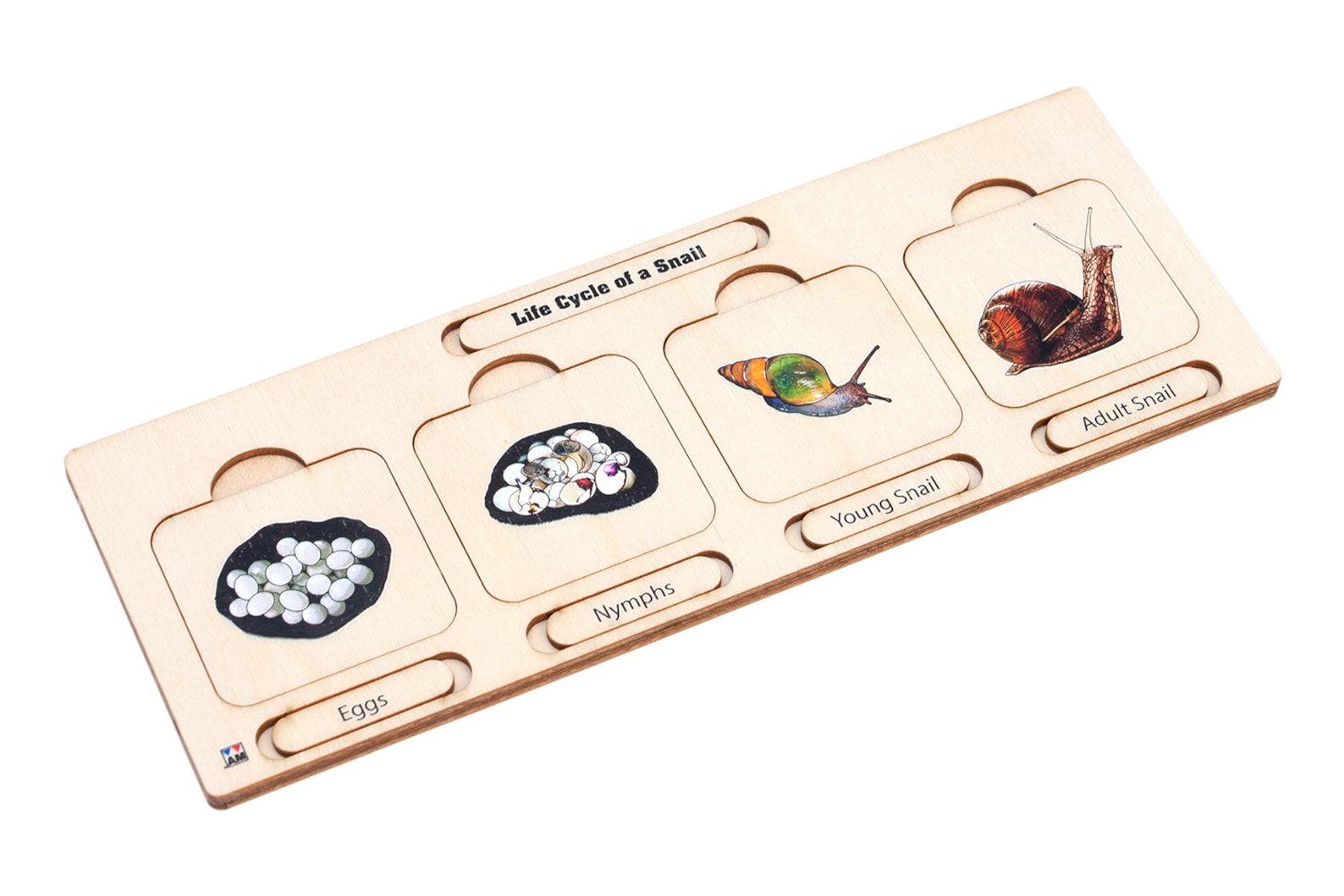 Wooden Life Cycle Set: Snail | Montessori Puzzles | Montessori Life ...