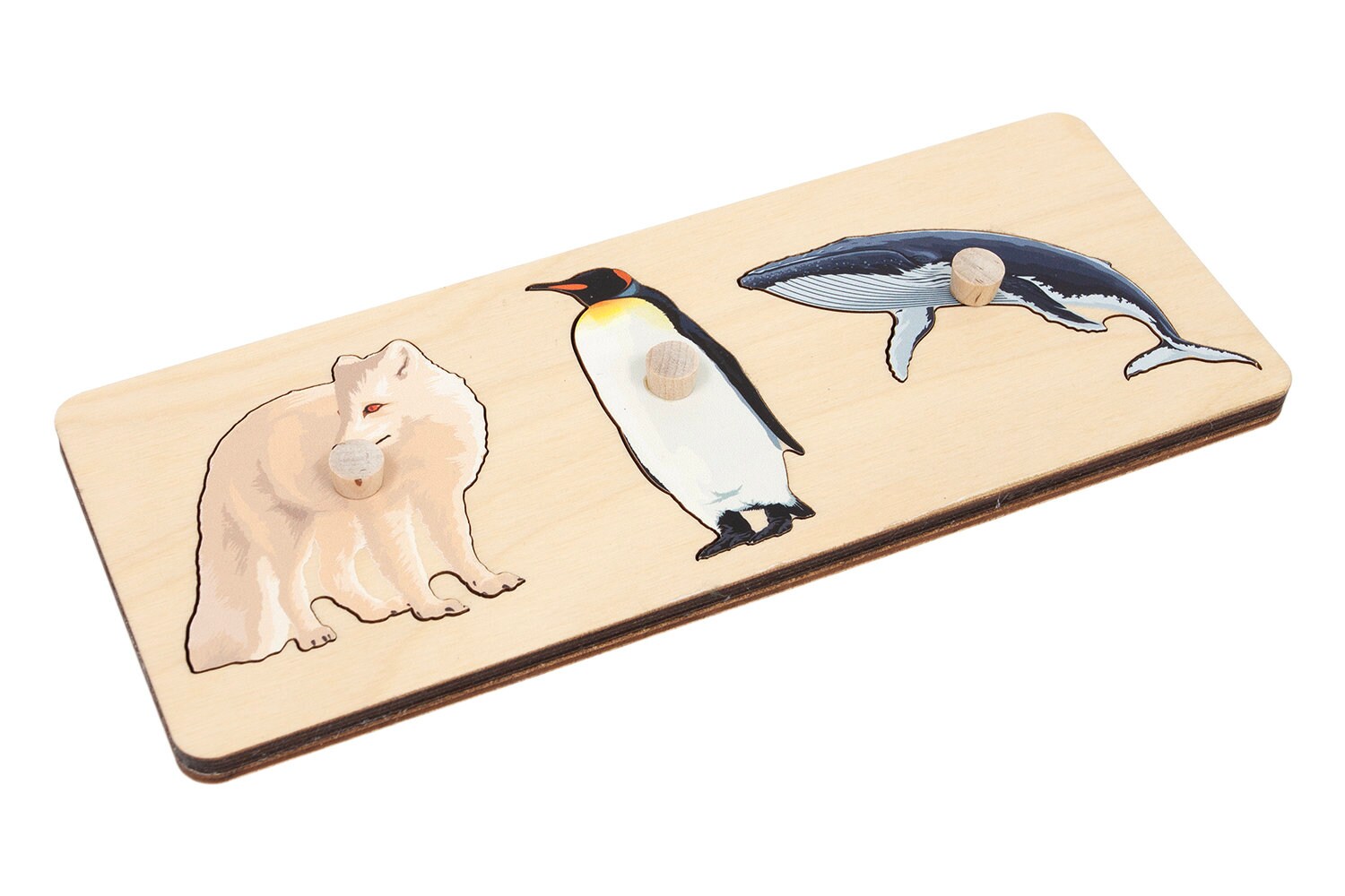 Antarctica Animals Puzzle Set: Montessori Infant Toddler Toy - Etsy