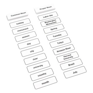 Classifying Nouns Chart | Montessori Grammar Activity | Common Vs ...