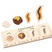 Wooden Life Cycle Set: Centipede | Montessori Puzzles | Montessori Life ...