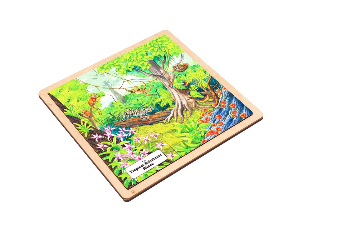 Tropical Rainforest Biome Puzzle | Animal Habitat Learning | Montessori ...