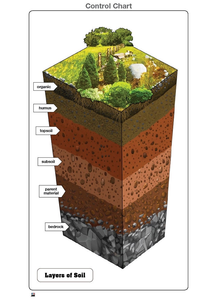 Layers of Soil Puzzle With Nomenclature Cards (3-6) | Montessori ...