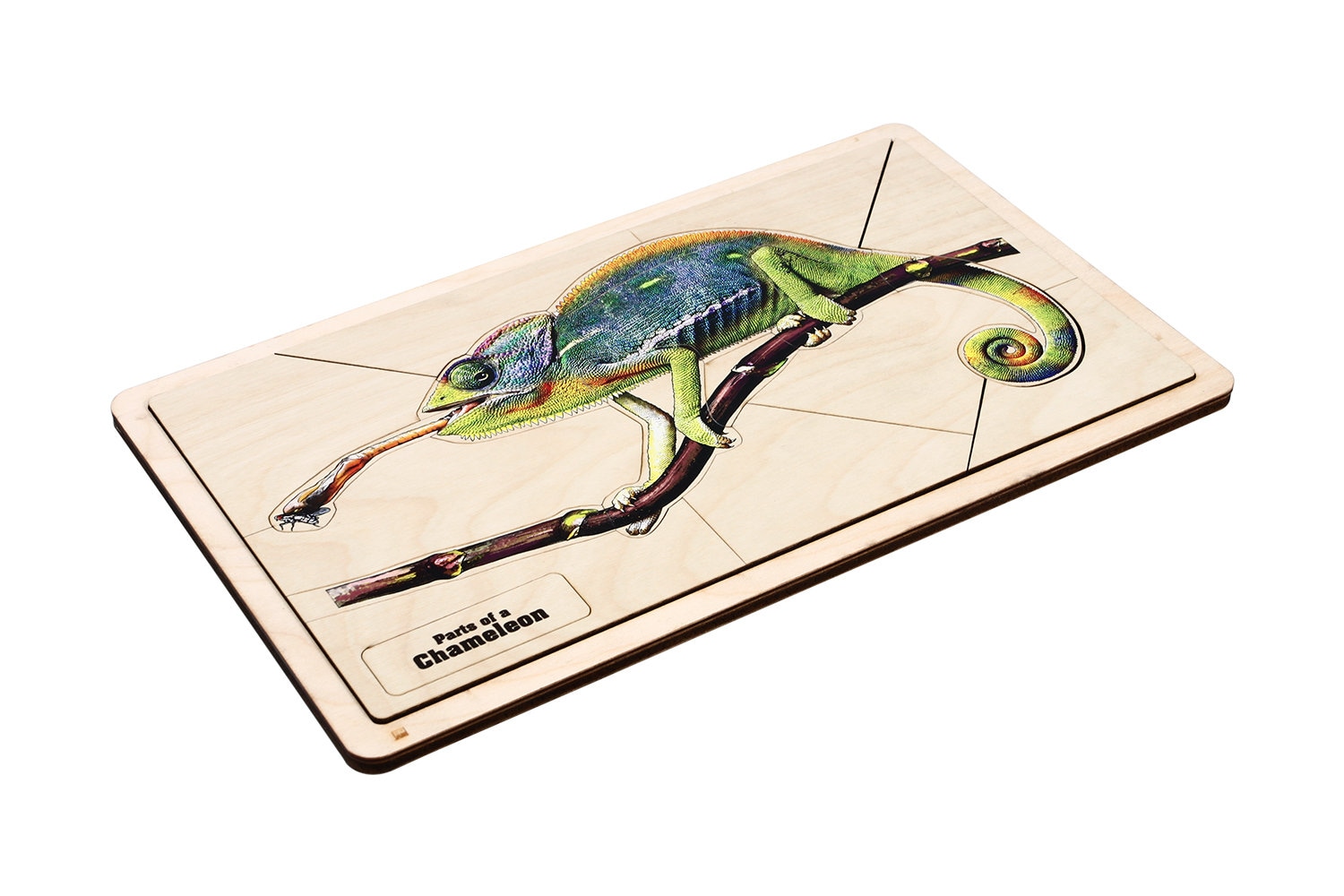 Parts of a Chameleon Puzzle | Montessori Puzzles | Montessori ...