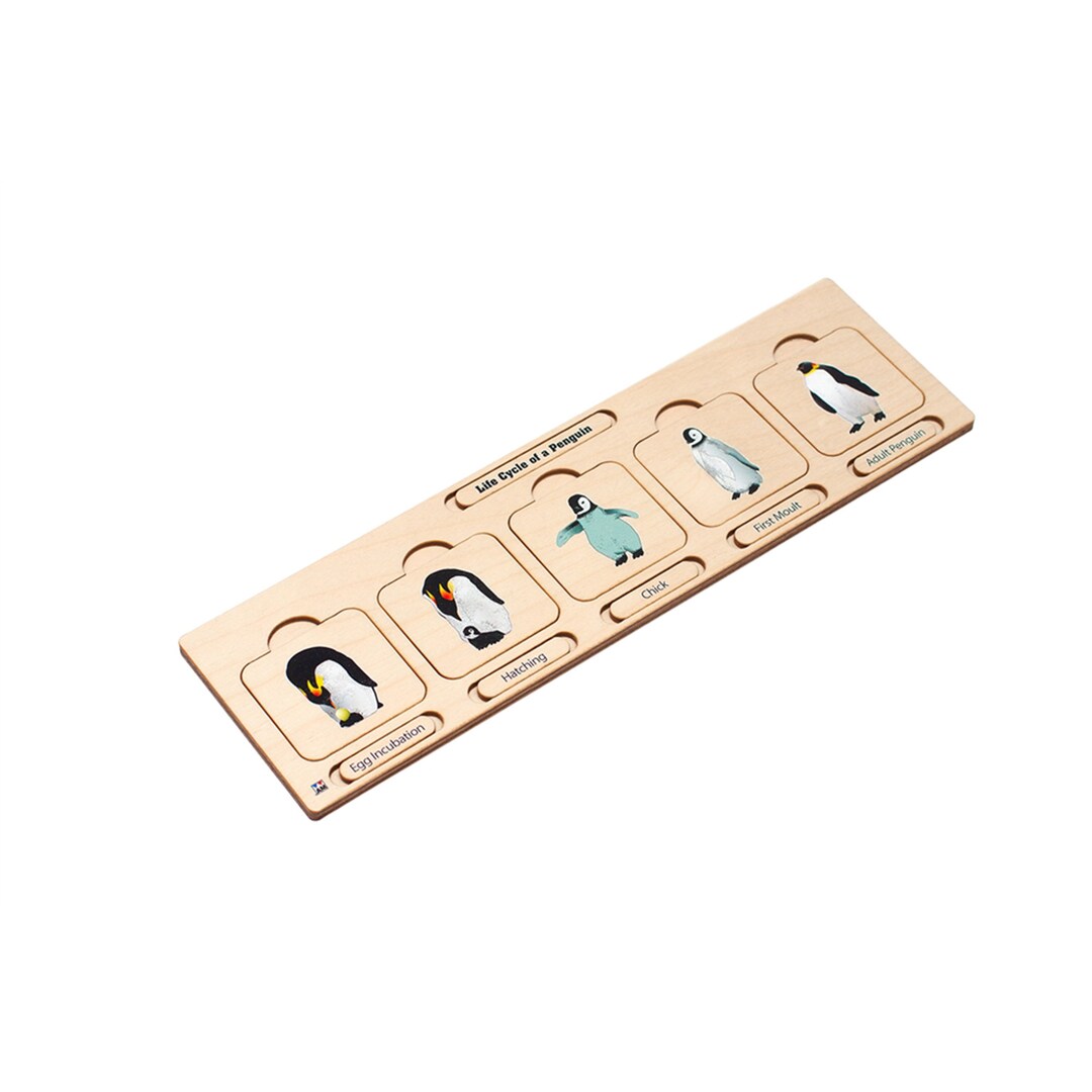 Wooden Life Cycle of a Penguin Puzzle | Life Cycle Learning ...