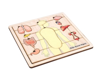 Major Organs of the Human Body Puzzle With Nomenclature Cards - Etsy